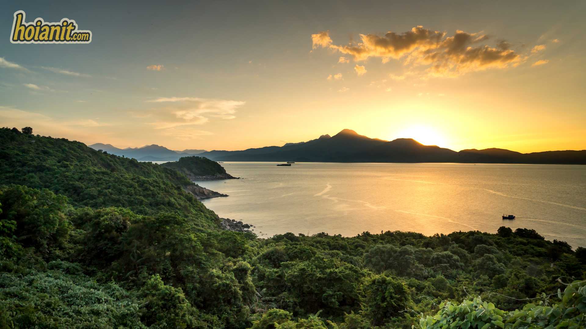 Son Tra Peninsula Da Nang Travel Guide 2026