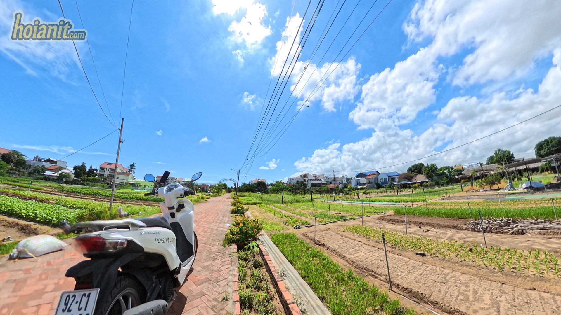 Experience Tra Que Vegetable Village - The Green Soul